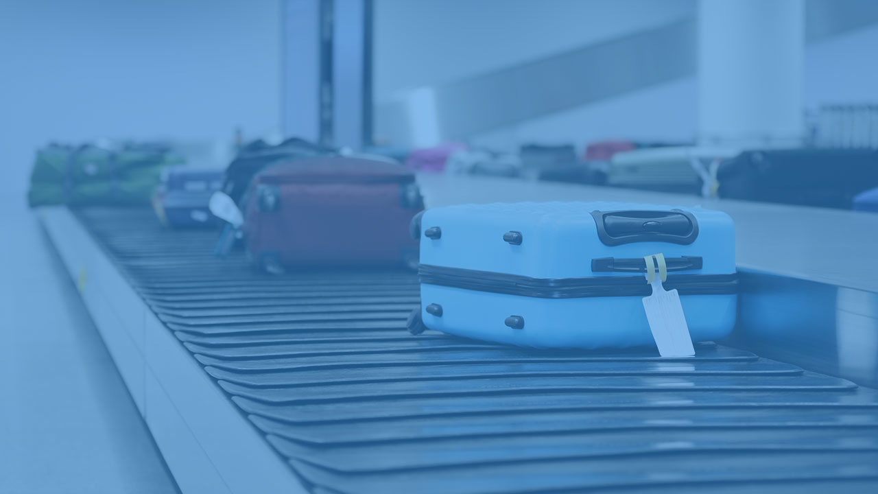 Baggage - UniMove Vacuum Lifters